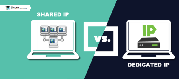 Dedicated IP Vs Shared IP: Which One Is Right for You? Mumara